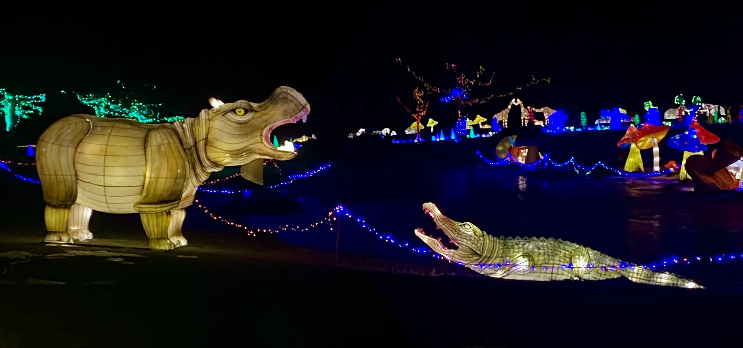 Lantern Festival at Castel Grisch Winery - Seneca Lake Wine Trail