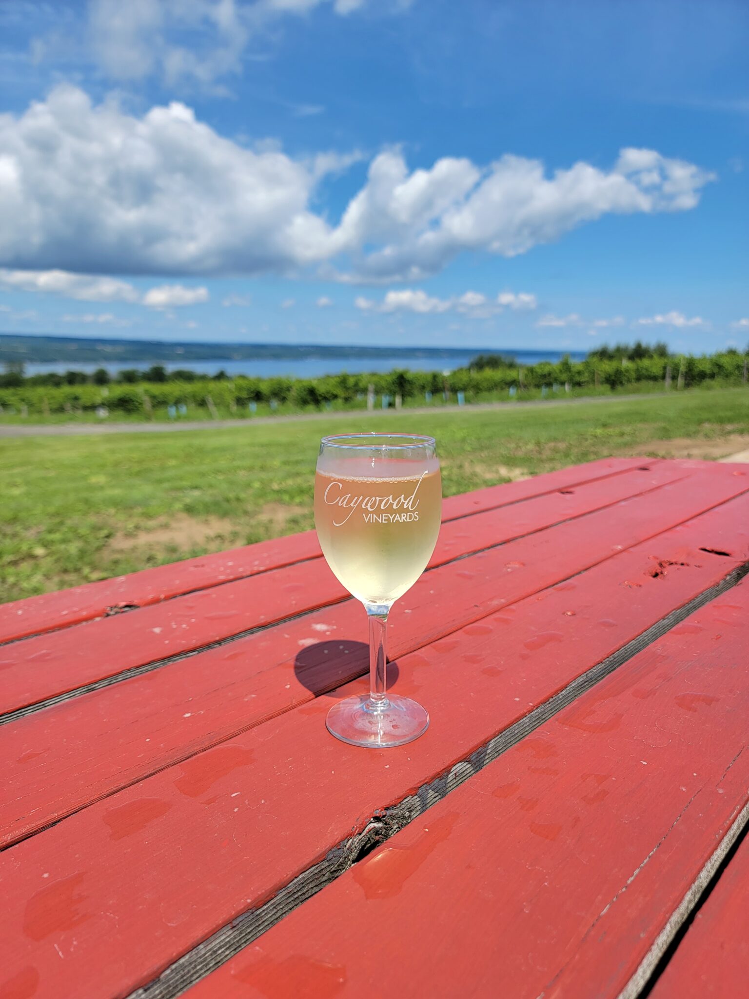 Doug's Fish Fry at Caywood Vineyards - Seneca Lake Wine Trail